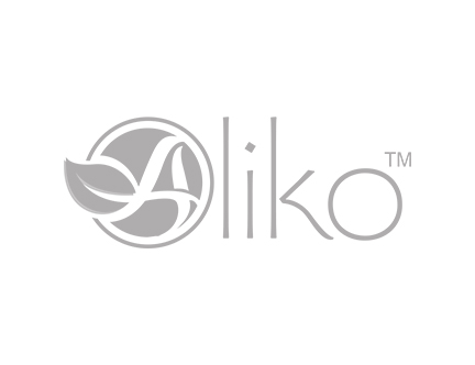 Aliko - Way2Logo